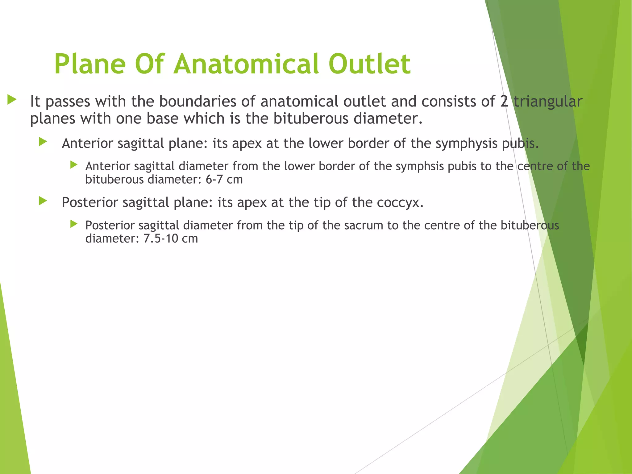 Obstetric anatomy | PPT
