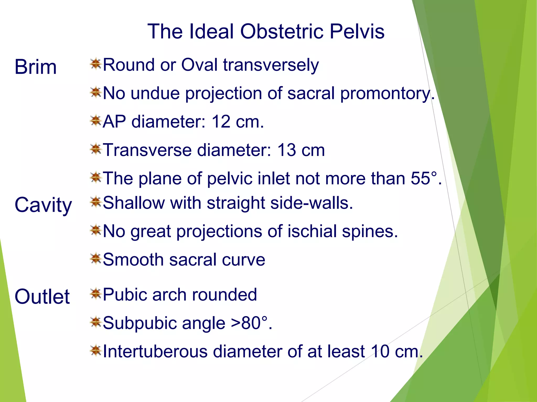 Obstetric anatomy | PPT