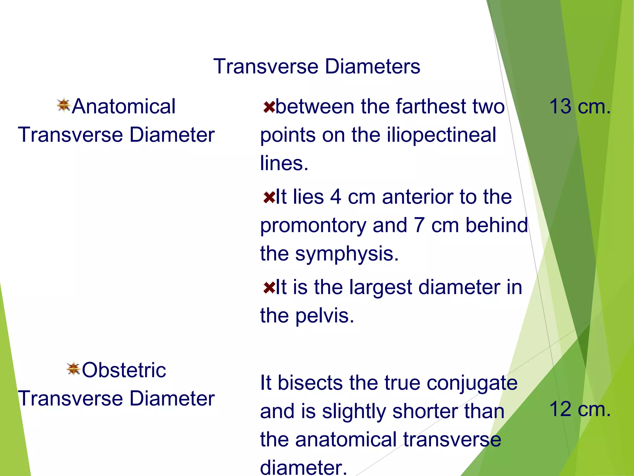 Obstetric anatomy | PPT