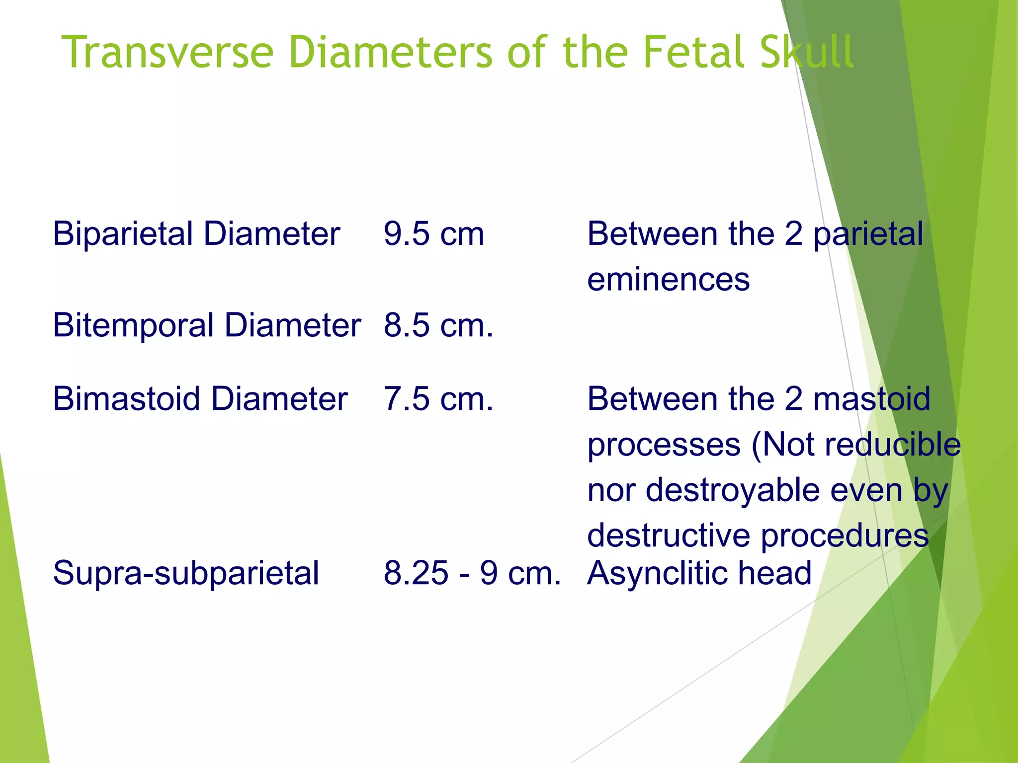 Obstetric anatomy | PPT