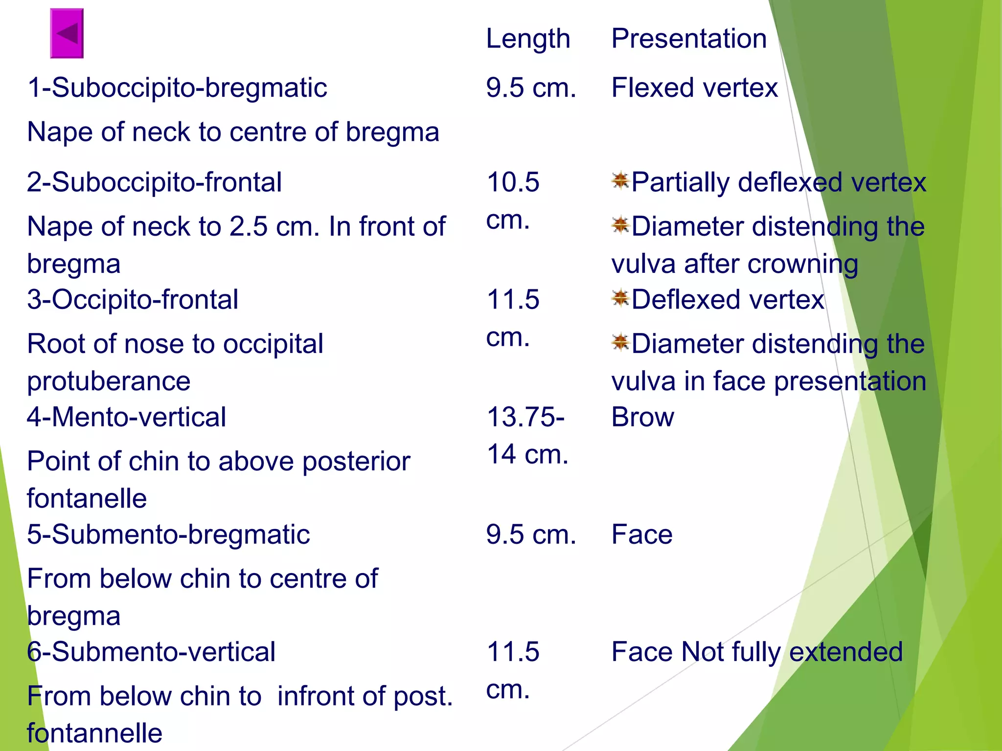 Obstetric anatomy | PPT