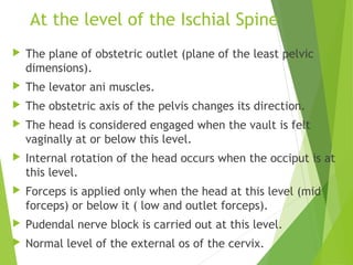 Ischial Spine Pregnancy