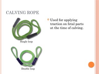 Obstetrical-Instruments-and-their-use-in-veterinary-obstetrics.pptx
