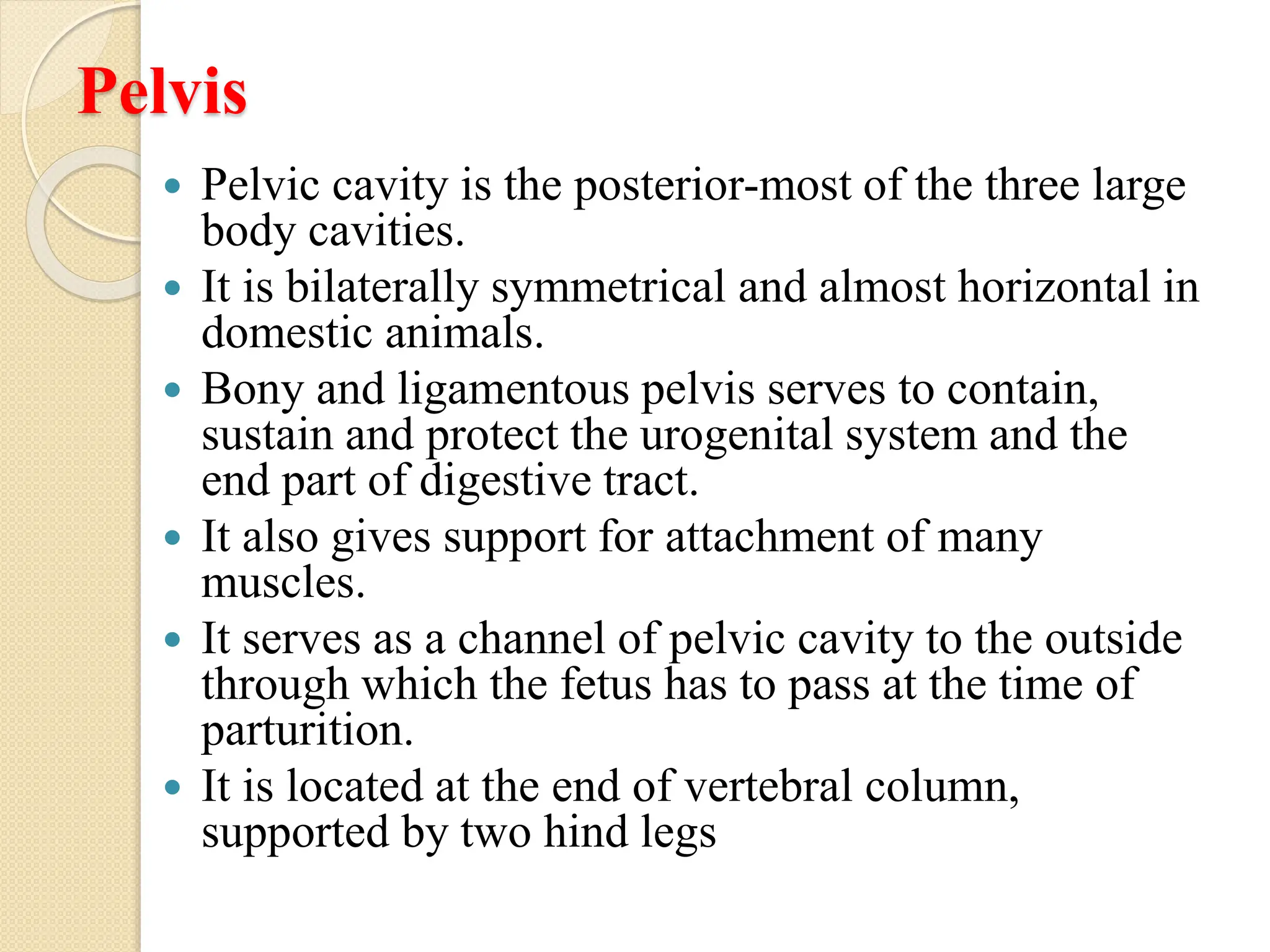 Obstetrical Anatomy of female animal.pptx
