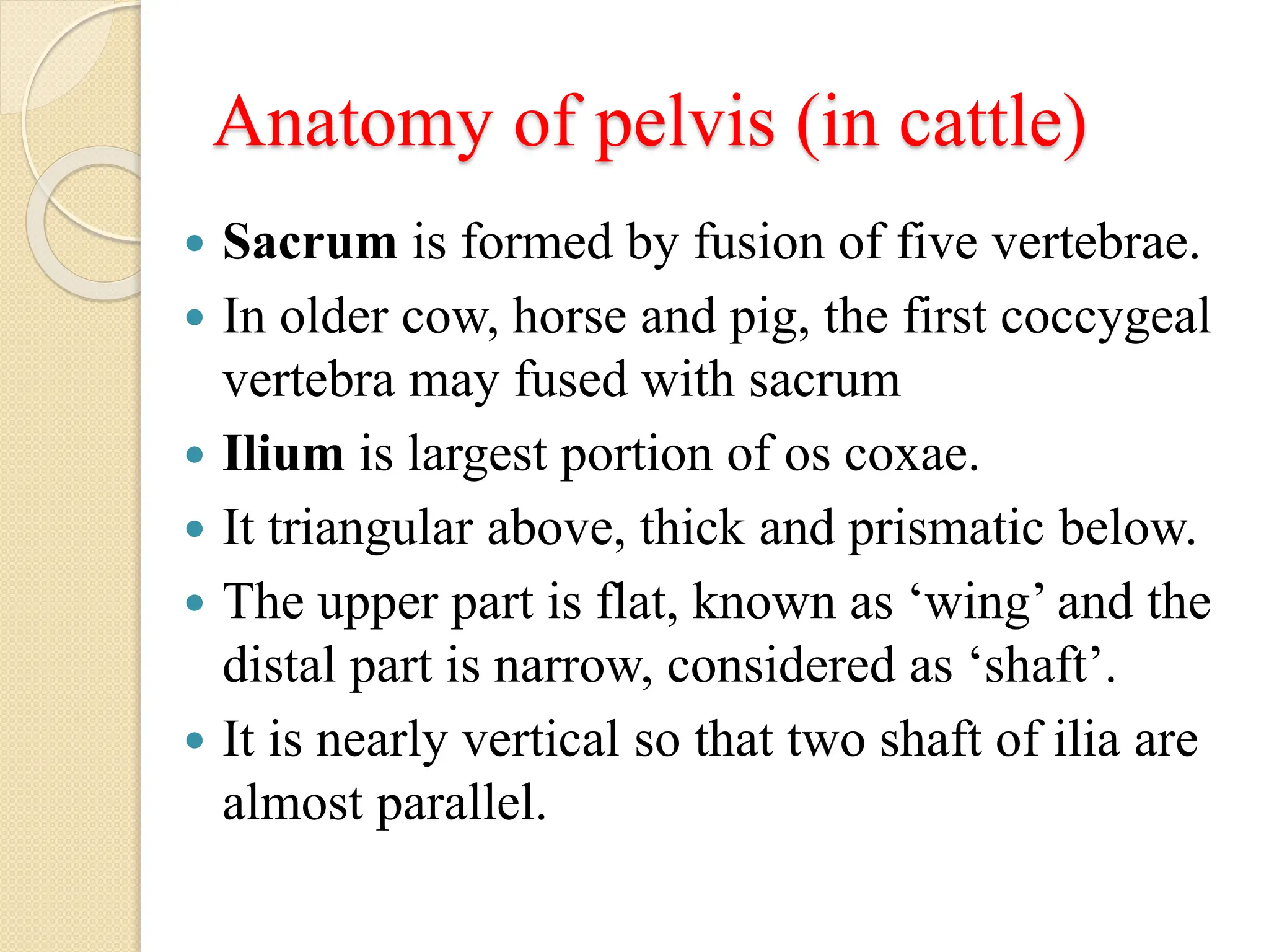 Obstetrical Anatomy of female animal.pptx