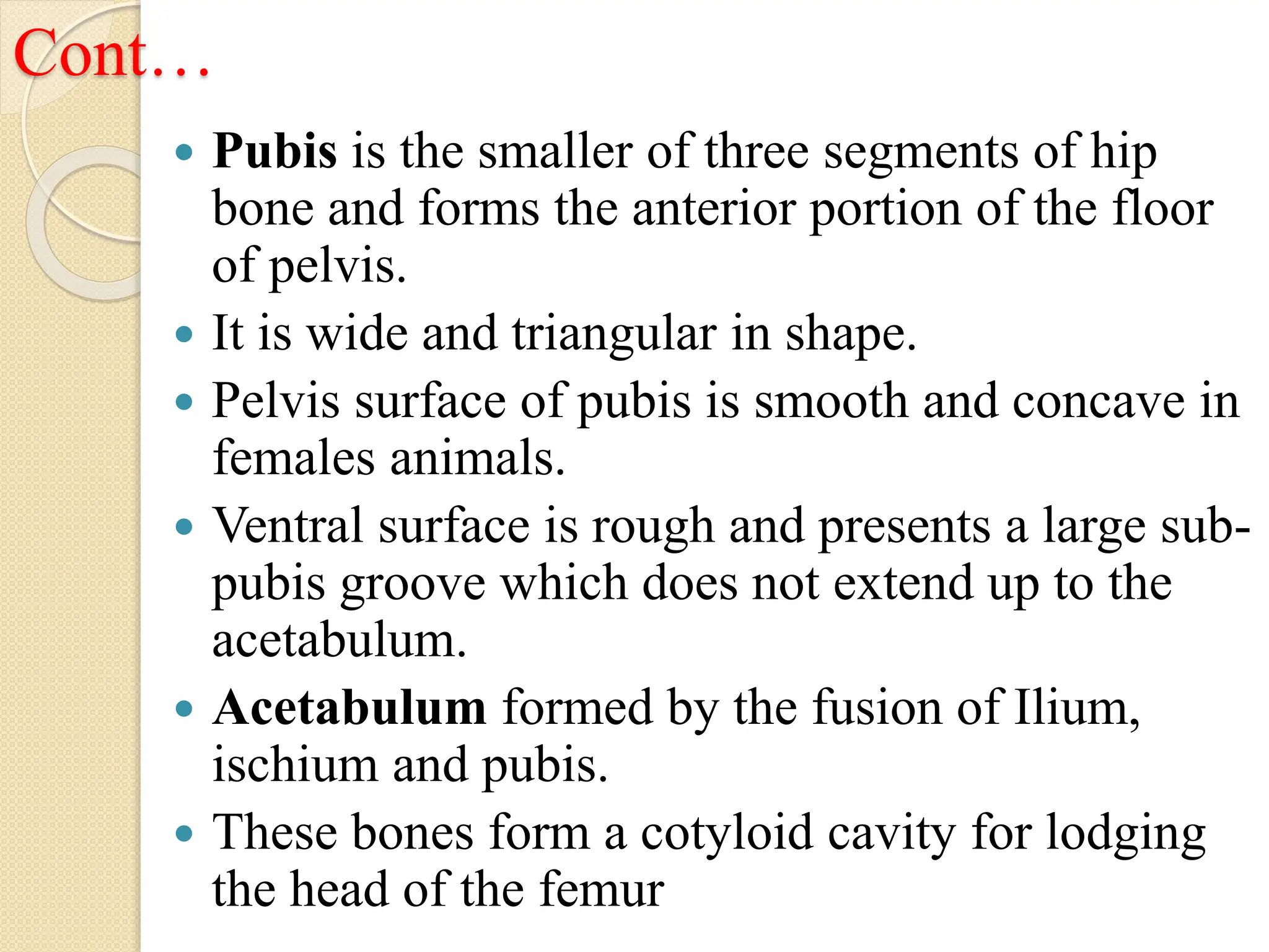 Obstetrical Anatomy of female animal.pptx