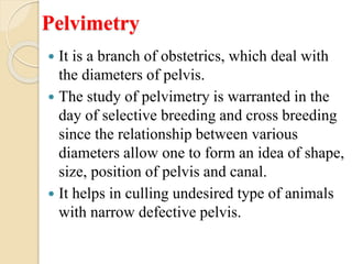 Obstetrical Anatomy of female animal.pptx | Pregnancy | Reproductive Health