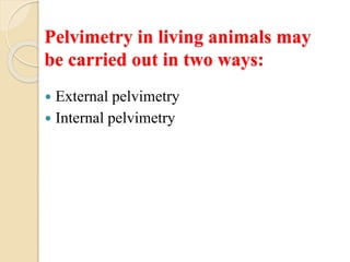 Obstetrical Anatomy of female animal.pptx