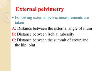 Obstetrical Anatomy of female animal.pptx | Pregnancy | Reproductive Health
