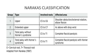 Obstetrical Brachial Plexus Palsy(OBPI).pptx