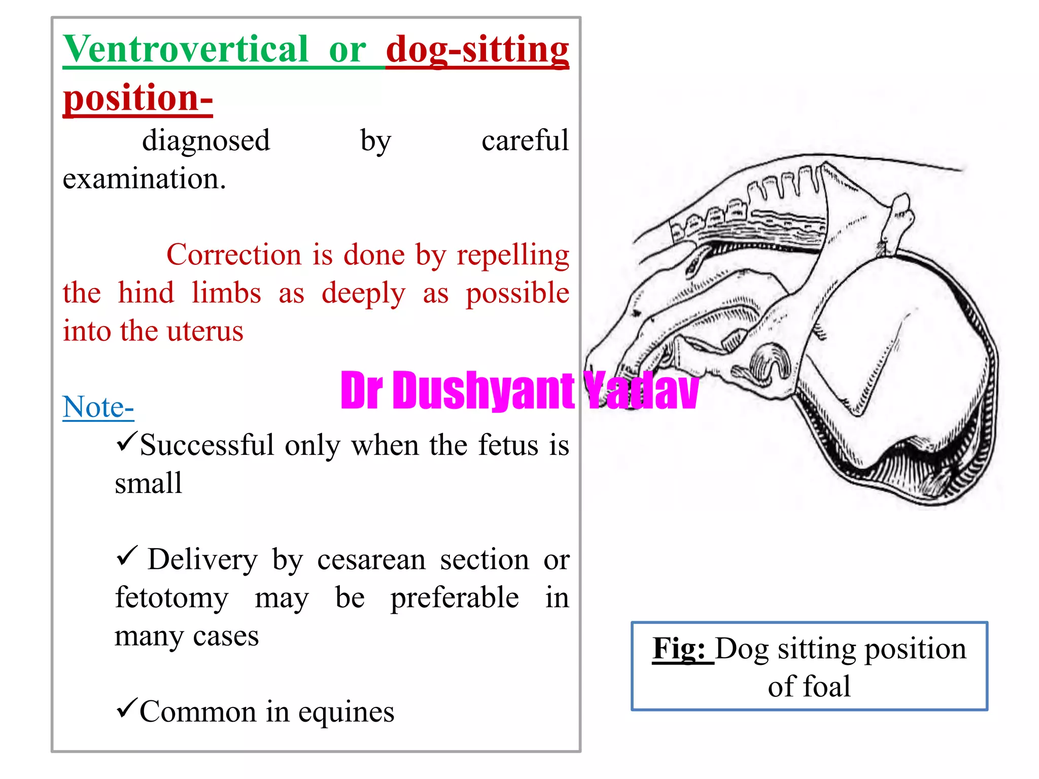 Obstetrical operation in Bovine By Dr Dushyant Yadav, Bihar Animal ...