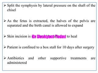 Obstetrical operation in Bovine By Dr Dushyant Yadav, Bihar Animal ...