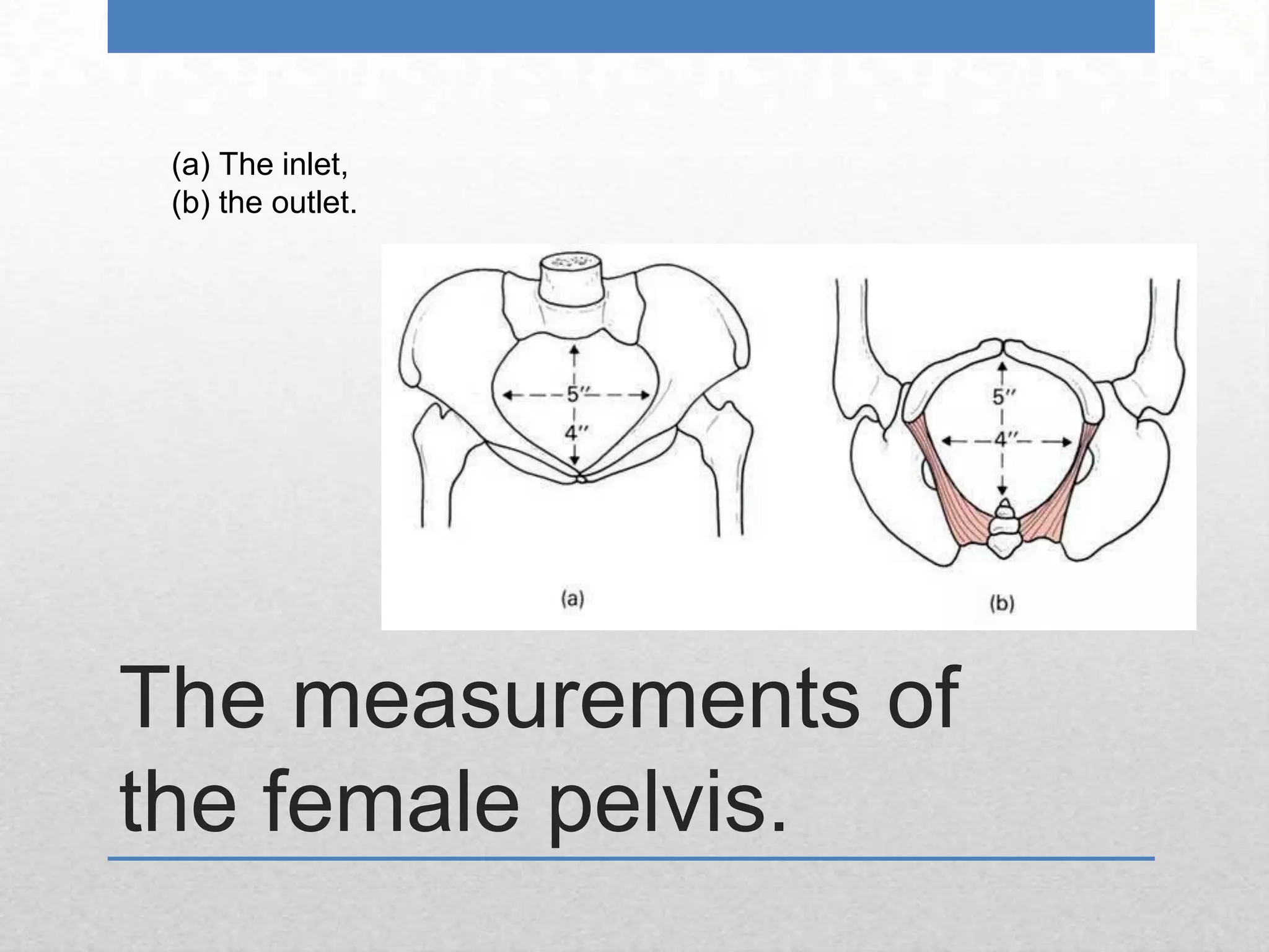 Obstetrical pelvic measurements | PPTX