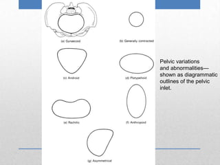 Obstetrical pelvic measurements | PPTX