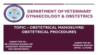 Obstetrical Procedures in Veterinary Obstetrics | PPTX