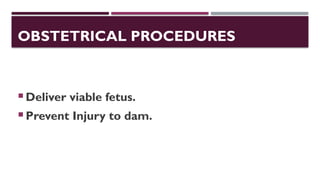 Obstetrical Procedures in Veterinary Obstetrics | PPTX