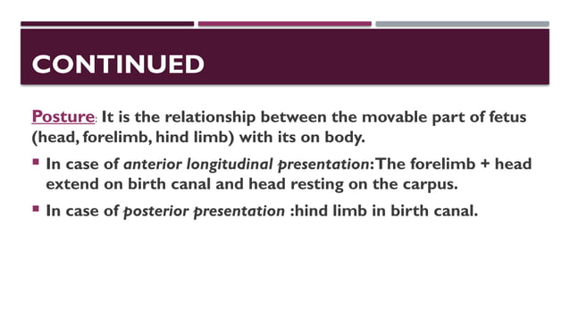 Obstetrical Procedures in Veterinary Obstetrics | PPT