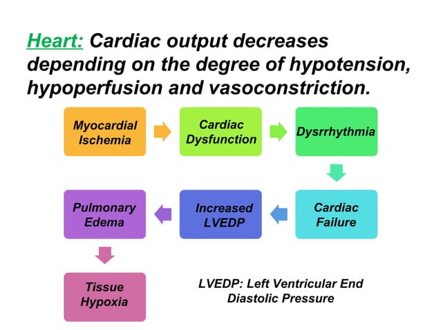 Obstetrical shock | PPT | Blood Disorders | Diseases and Conditions