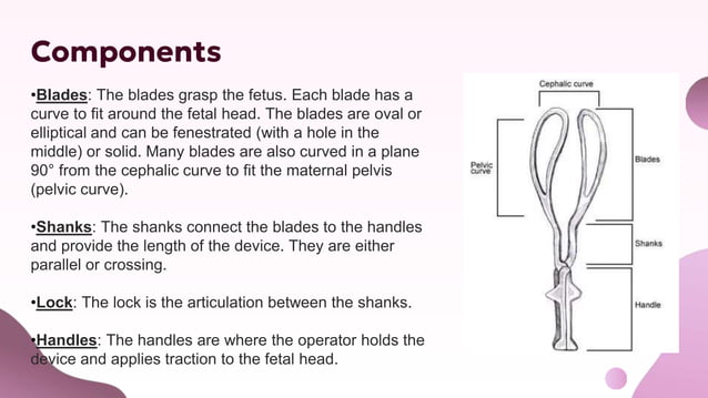 Obstetrical Surgeries - Operative vaginal deliveries are accomplished ...