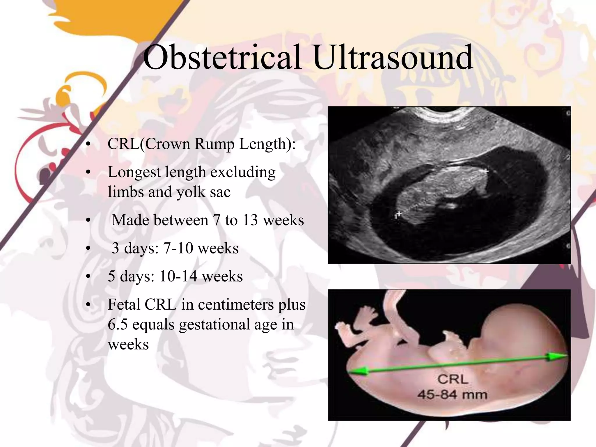 Obstetrical Ultrasound | PPTX
