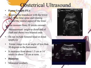 Obstetrical Ultrasound | PPT