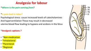Obstetric anaesthesia | PPTX