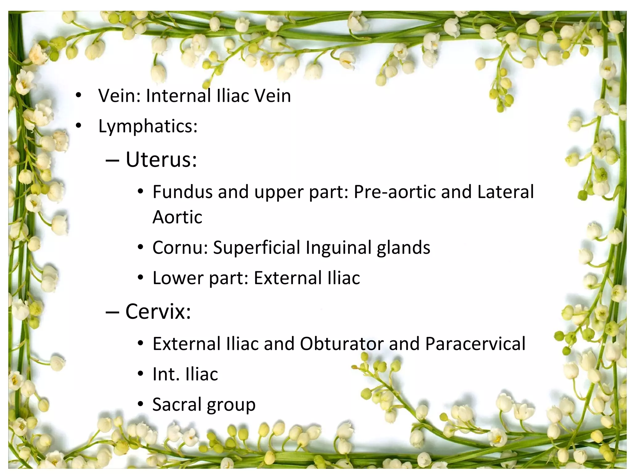 Obstetric Anatomy | PPT