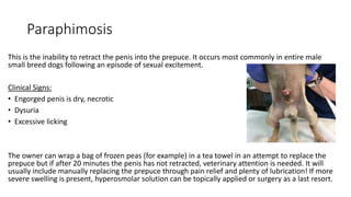 Obstetric and Neonatal Emergencies | PPTX