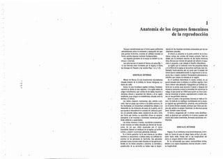 Obstetricia_de_Schwarcz_6ta_Edicion.pdf
