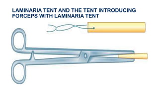 Laminaria Tent For Abortion