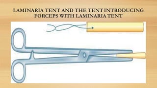 Laminaria Tent Introducing Forceps