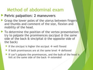 Obstetric physical examination | PPT