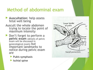 Obstetric physical examination | PPT