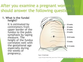 Obstetric physical examination | PPT
