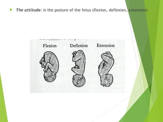 Obstetric physical examination | PPT