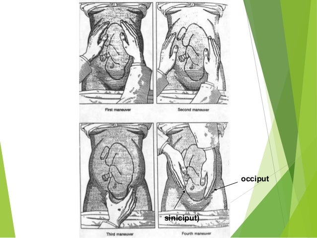 Obstetric physical examination