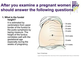 Obstetric physical examination-Ramy.ppt