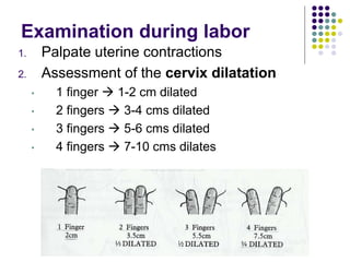 Obstetric physical examination-Ramy.ppt