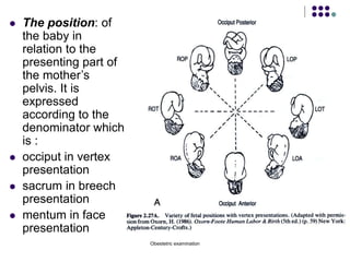 Obstetric physical examination-Ramy.ppt