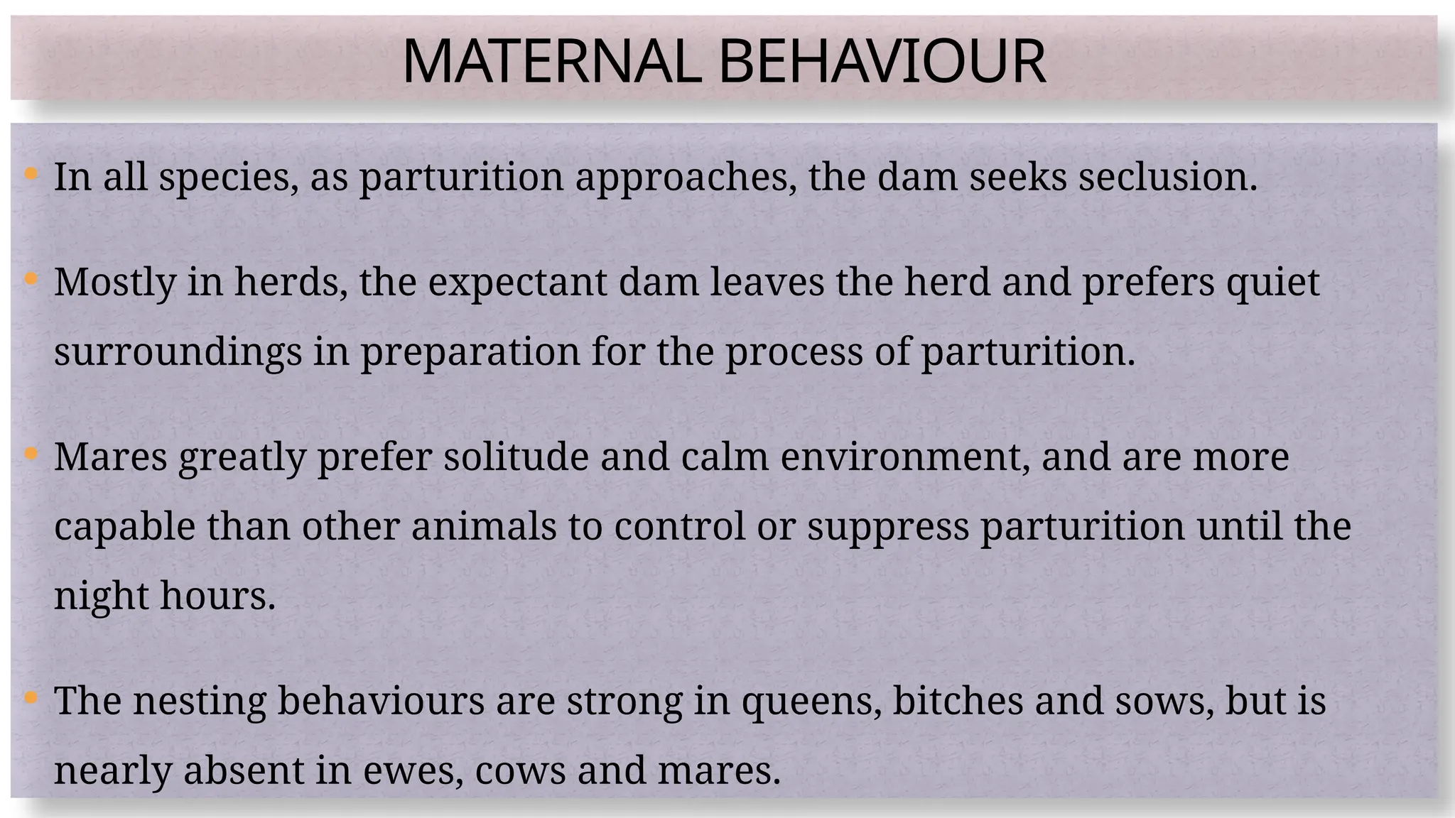 obstetrical conditions of domestic animals.pptx