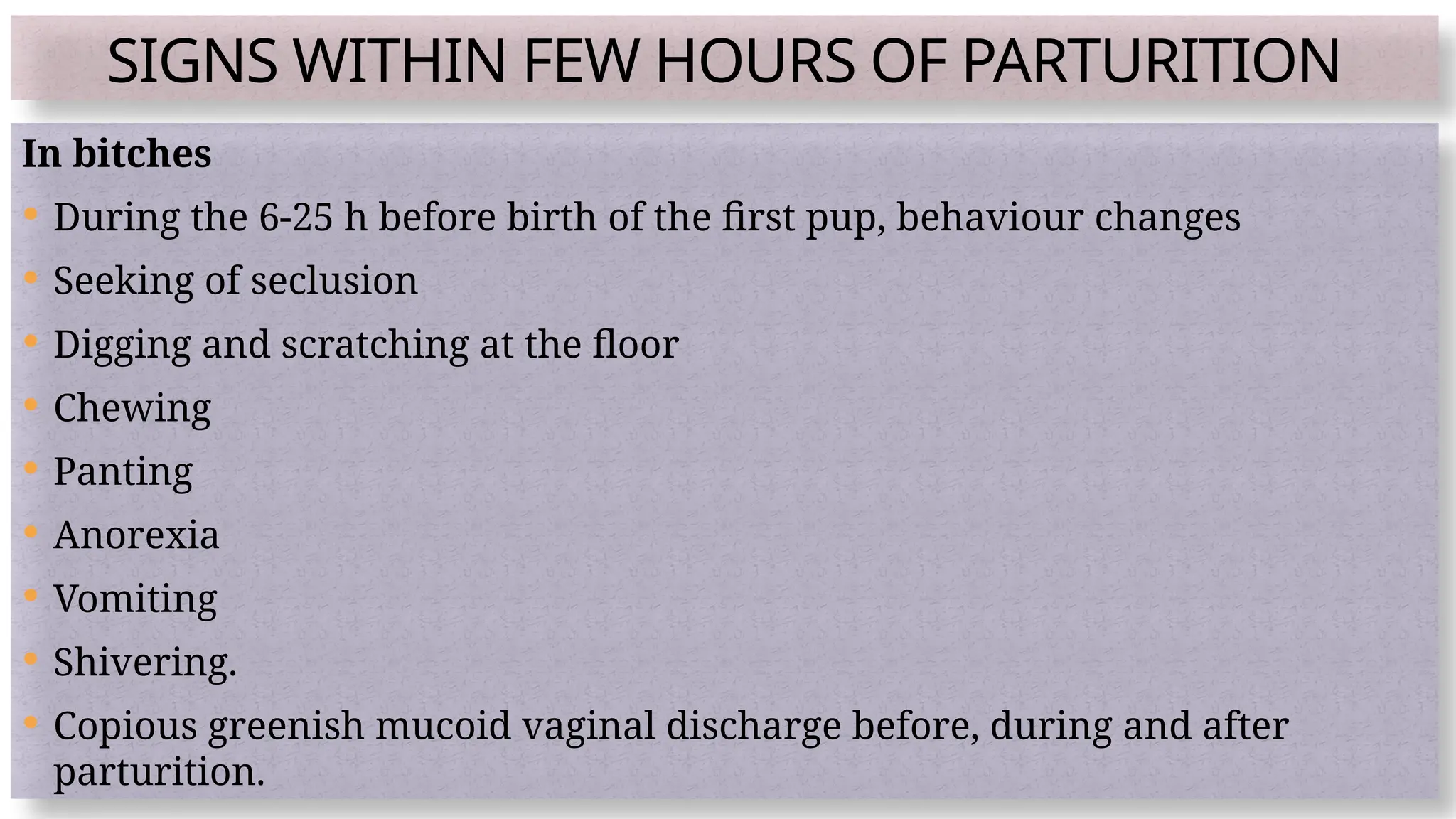 obstetrical conditions of domestic animals.pptx