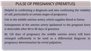 obstetrical conditions of domestic animals.pptx