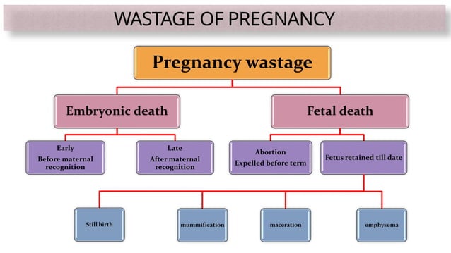 obstetrical conditions of domestic animals.pptx
