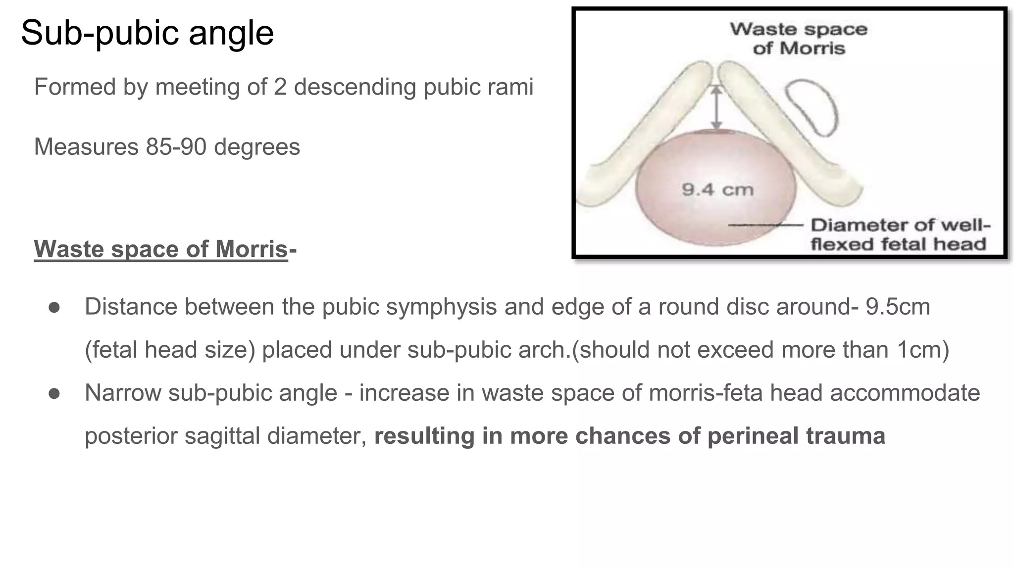 Pelvis and fetal skull.pptx