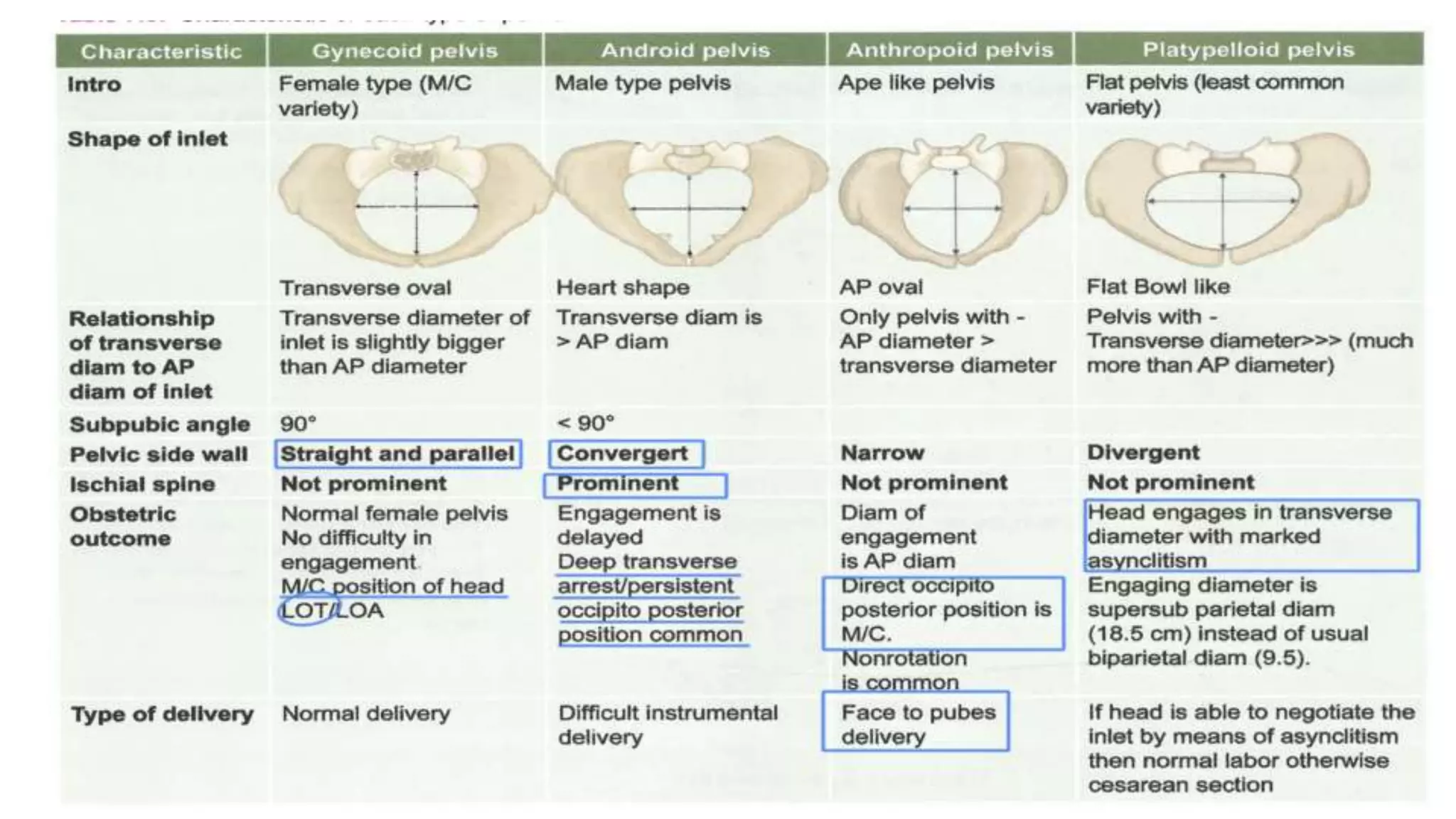 Pelvis and fetal skull.pptx