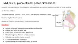 Pelvis and fetal skull.pptx