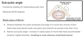 Pelvis and fetal skull.pptx