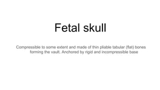 Pelvis and fetal skull.pptx
