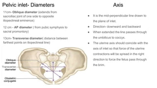 Pelvis and fetal skull.pptx