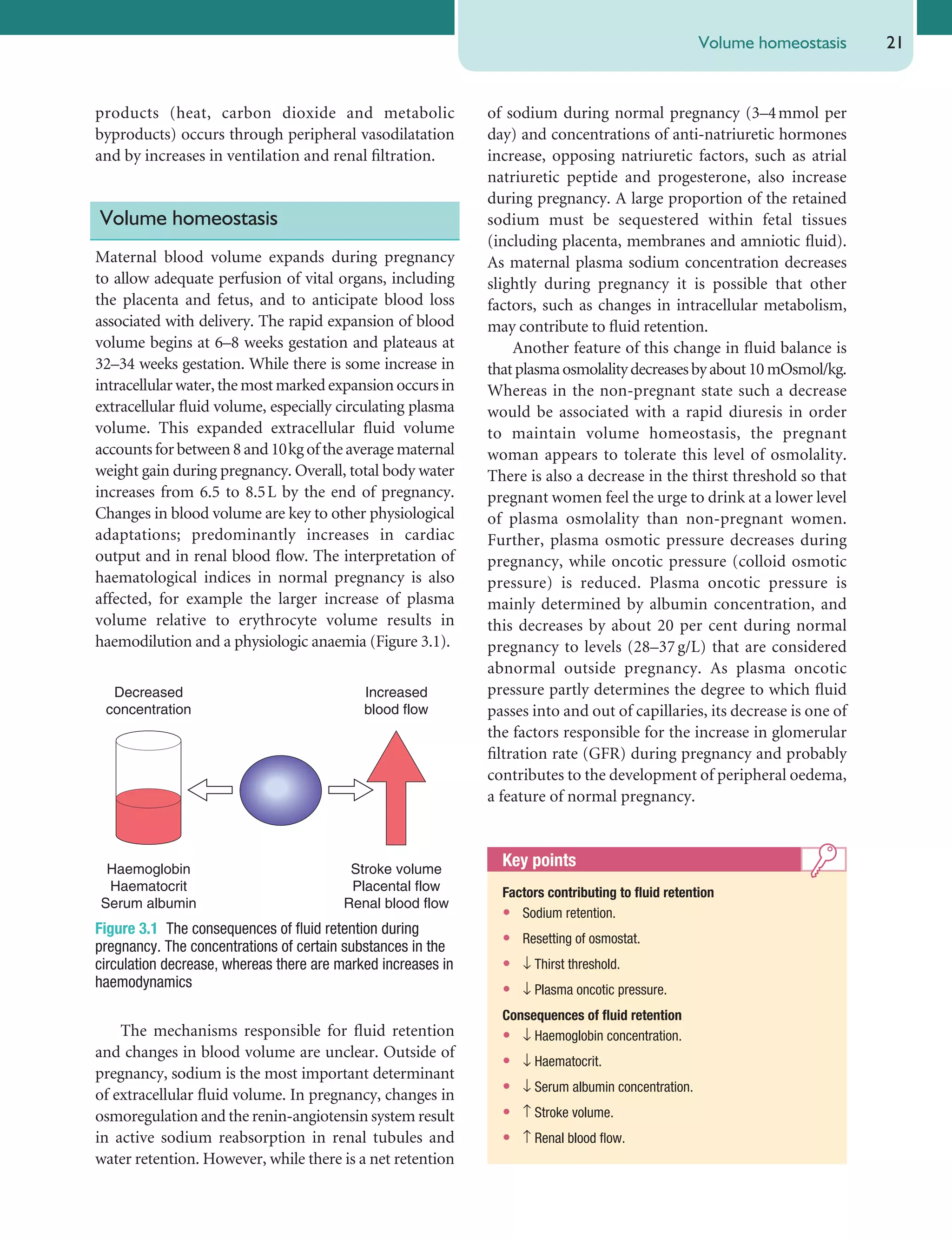 Obstetrics Notes and Review | PDF | Pregnancy | Reproductive Health